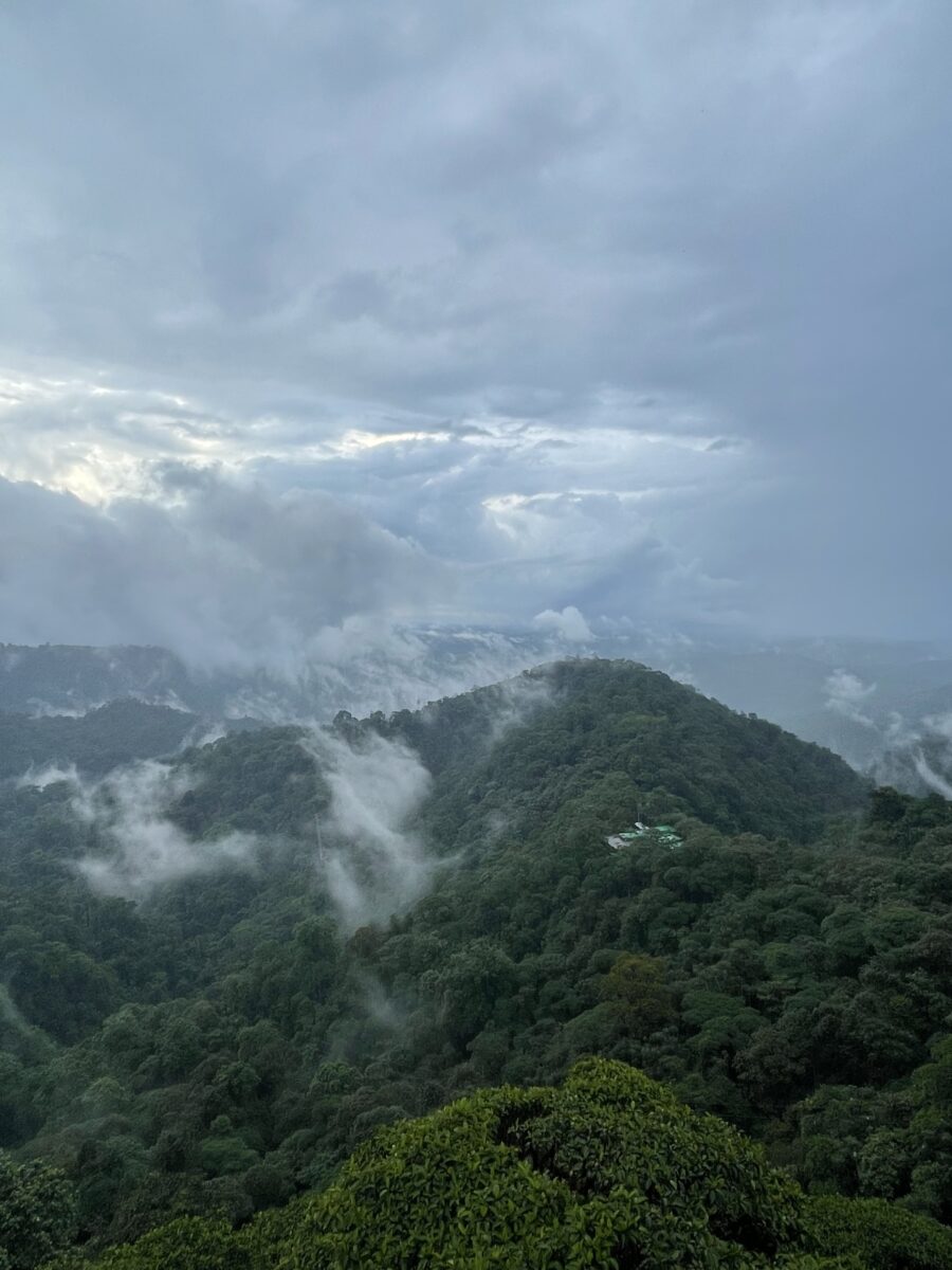 Reasons to Visit Ecuador: Part 2 - Mashpi Reserva - Sustah-Girl Chronicles