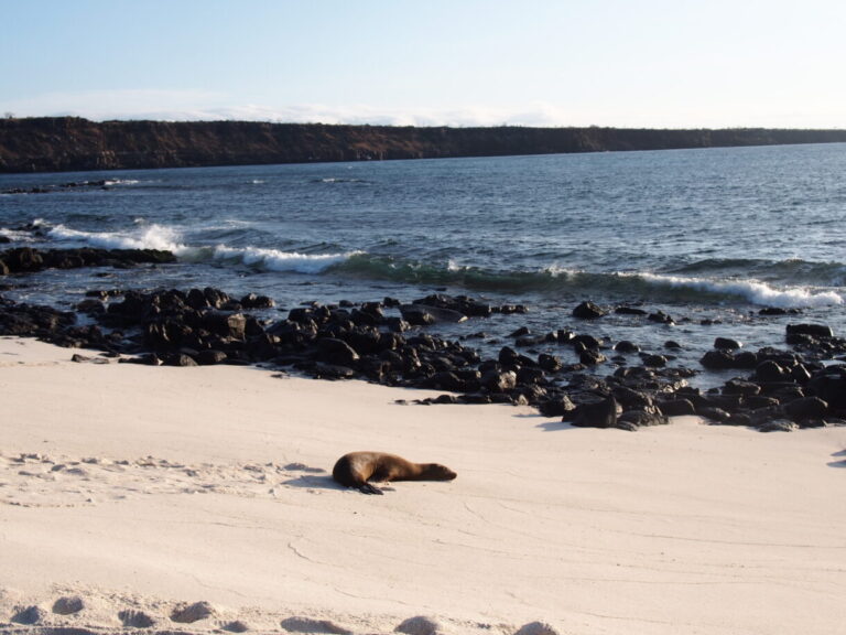 Best Galapagos Islands to Visit - Sustah-Girl Chronicles Best Galapagos ...