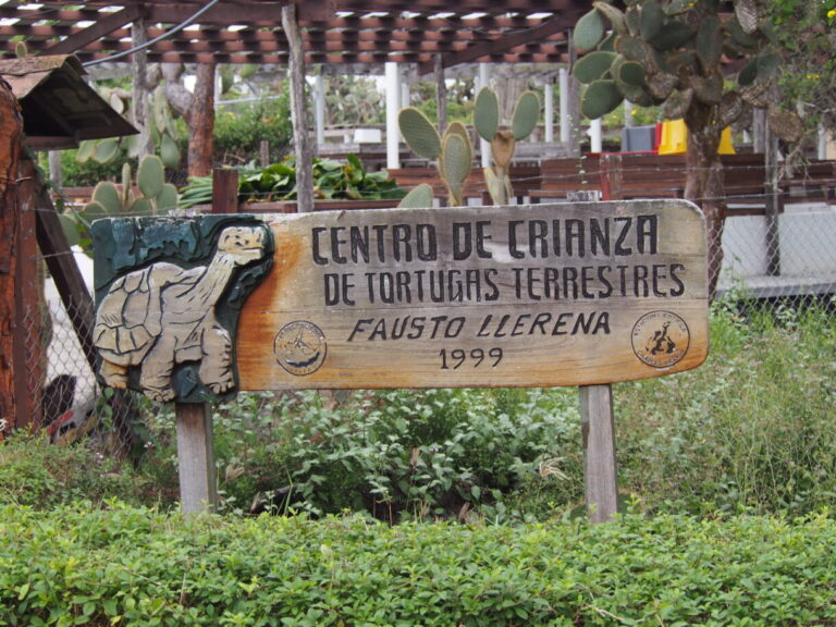 Best Galapagos Islands to Visit - Sustah-Girl Chronicles Best Galapagos ...